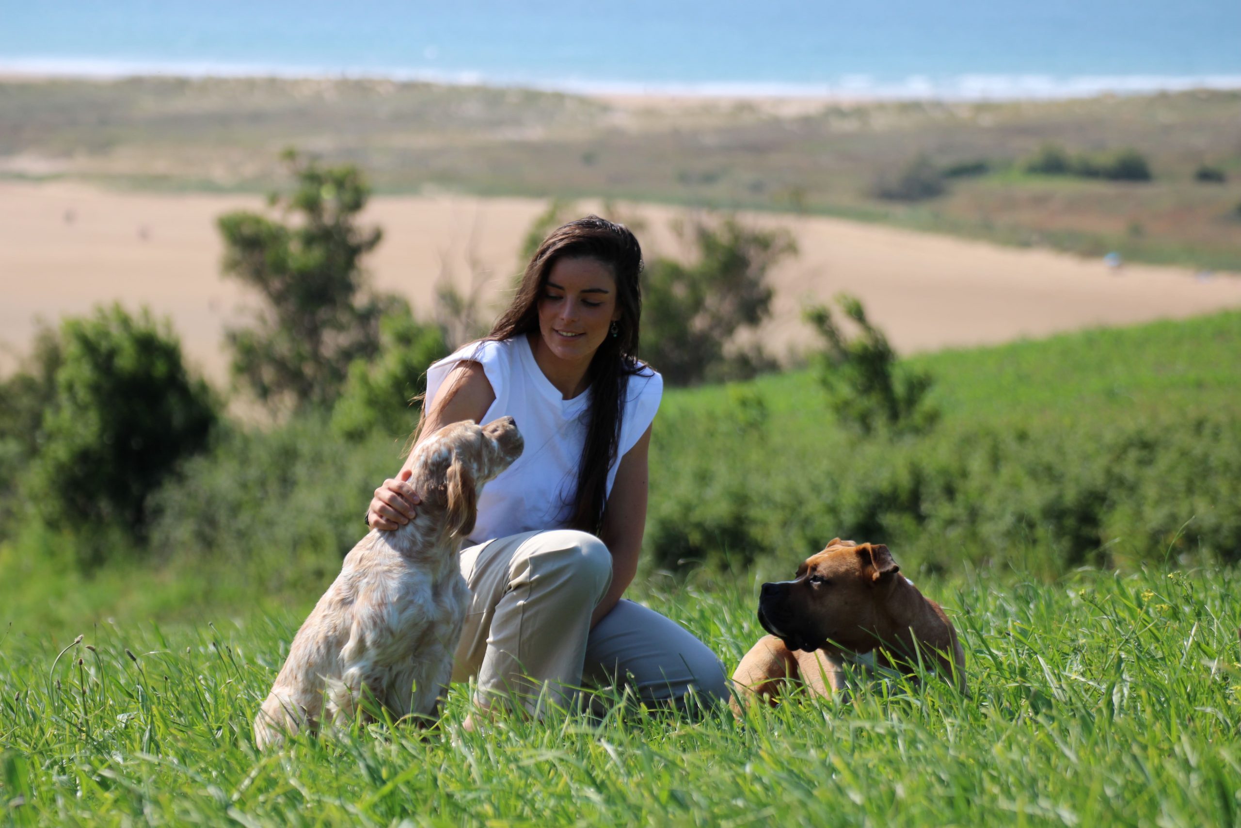 🐶 Perruna - Educación canina en positivo